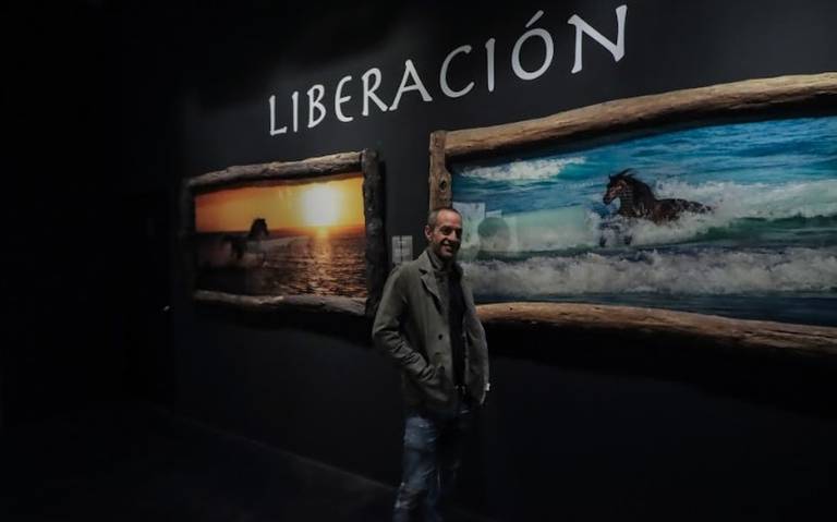 Fotógrafo Pepe Soho creó la experiencia inmersiva “Mystika”, ¿cuándo ...