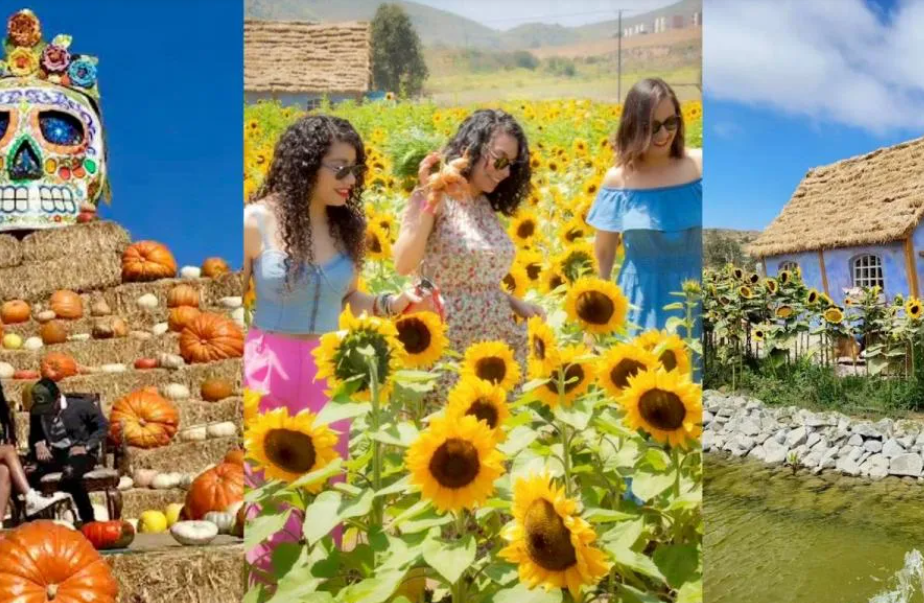 Ya abrió el Mictlán en Tijuana: Un viaje mágico a las tradiciones ...